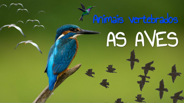 VERTEBRADOS: AS AVES | Genially