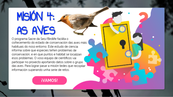 MISIÓN 4: AS AVES | Genially