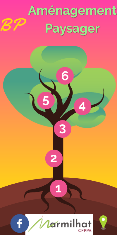 BP Aménagement paysager | Genially