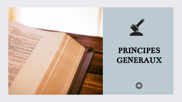 Principes d'un projet | Genially