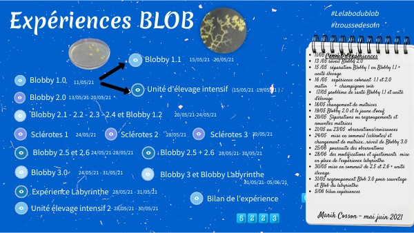 BLOB Genially | Genially