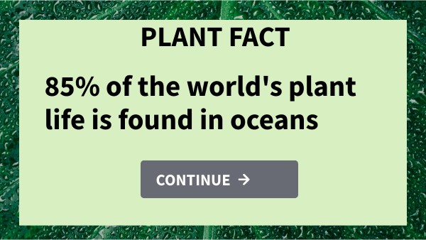 Photosynthesis Game 5 | Genially