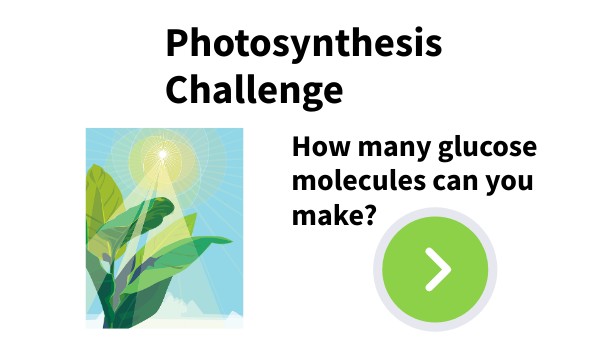 Photosynthesis Game 1 | Genially