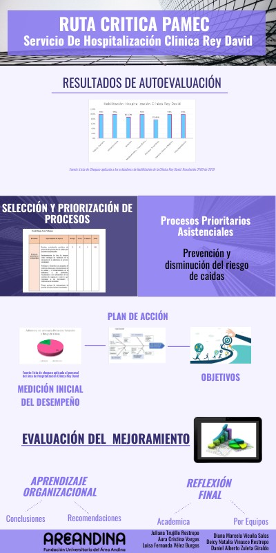 RUTA CRITICA PAMEC EQUIPO 5