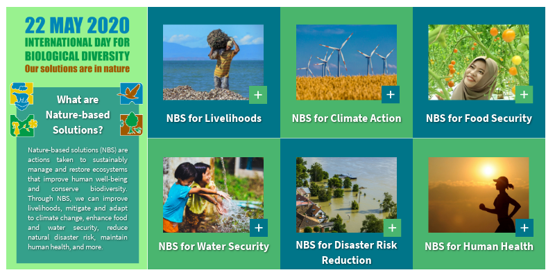 Biodiversity Day 2020: Nature-based Solutions | Genially