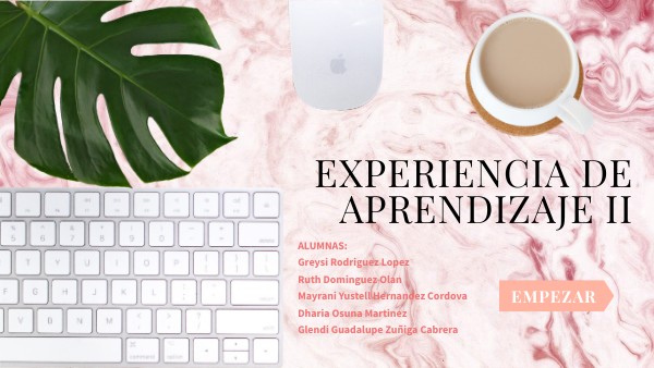 EXPERIENCIA PLAN DE NEGOCIOS II