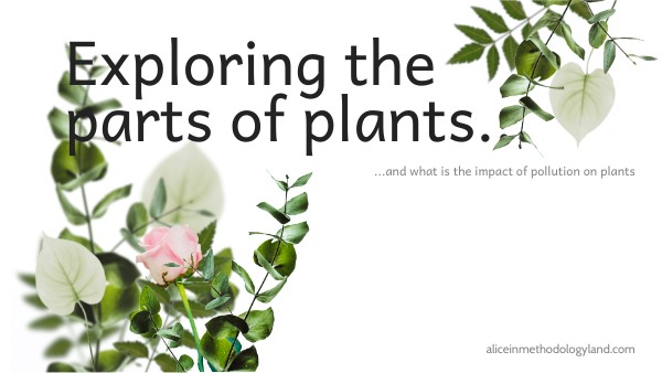Exploring the parts of plants