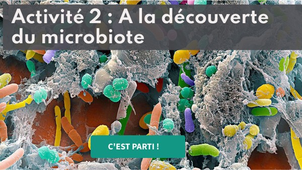 Microbiote | Genially