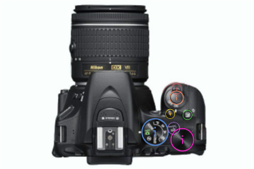 DSLR Explained (Top)