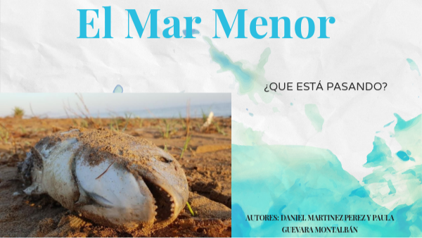 mar menor