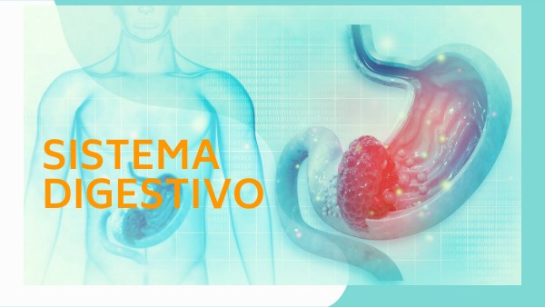 C.T. semana 29 | Genially