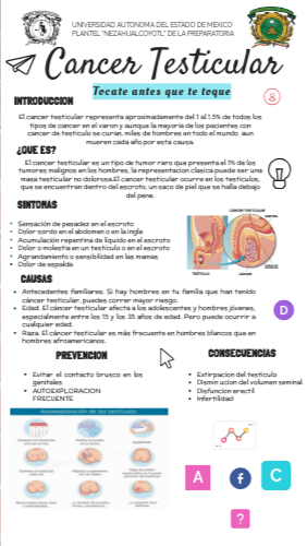 cancer testicular | Genially