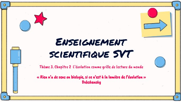 Evolution grille lecture ES term