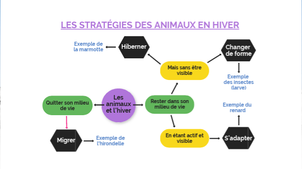 Les animaux et l'hiver | Genially