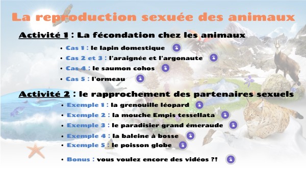reproduction sexuée des animaux