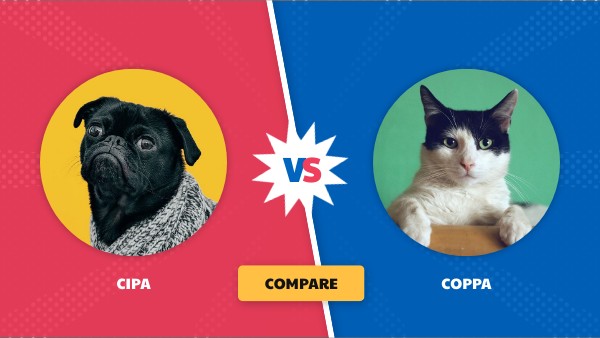 CIPA/COPPA - Gina King | Genially