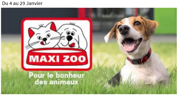 Stage Maxi zoo | Genially