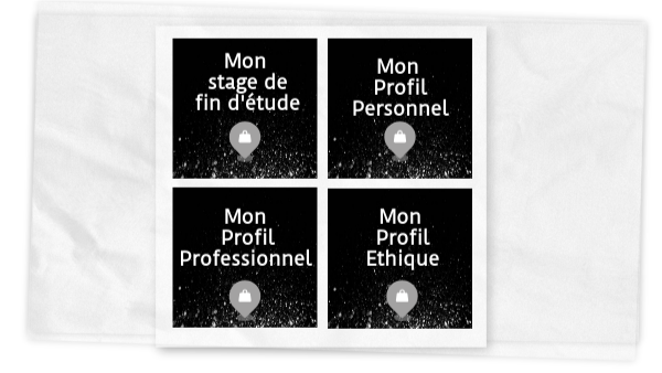 profil professionnel | Genially