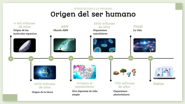 Origen del ser humano