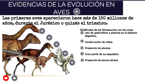 EVIDENCIAS DE LA EVOLUCIÓN