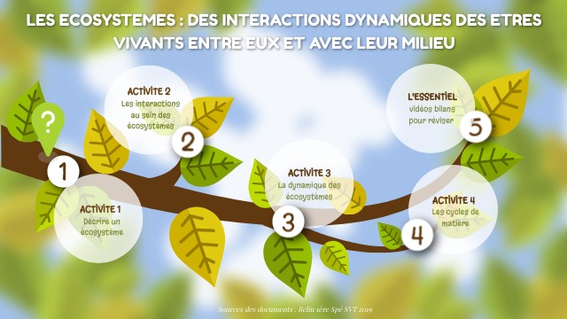 1 spé SVT Ecosystèmes | Genially