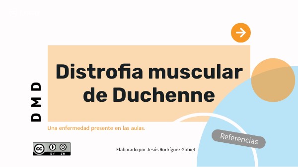 Visibilizando la DMD