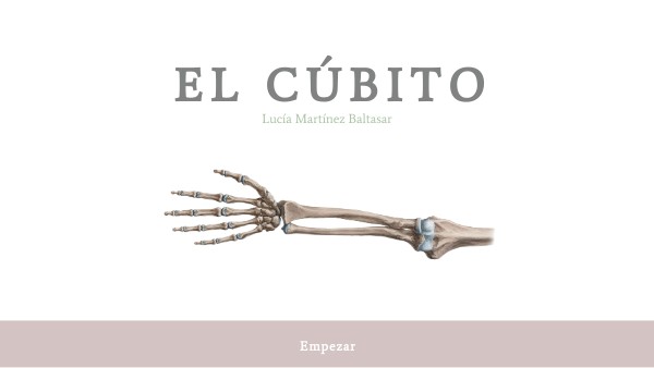 El cúbito/ulna
