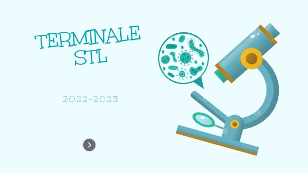 Présentation STL 22-23