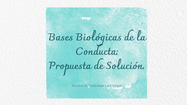 PRESENTACIÓN SOLUCIÓN DE PROBLEMATICA