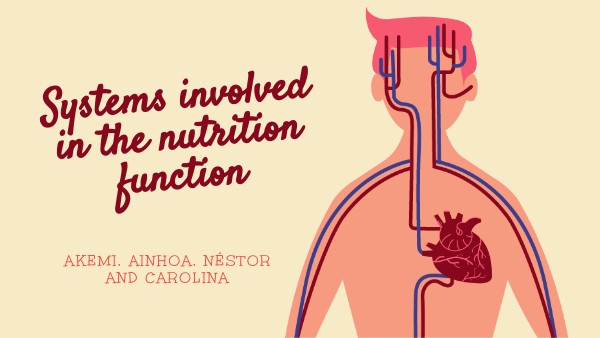 Systems involved in the nutrition function