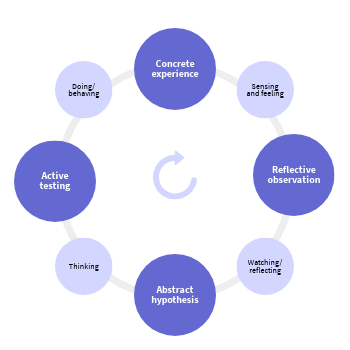 FASS_013220_Kolb (and Levin's) learning cycle model_Diagram | Genially