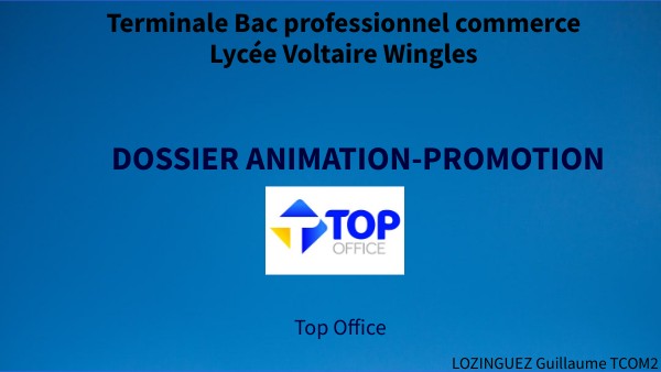 Epreuve E11 Guillaume | Genially