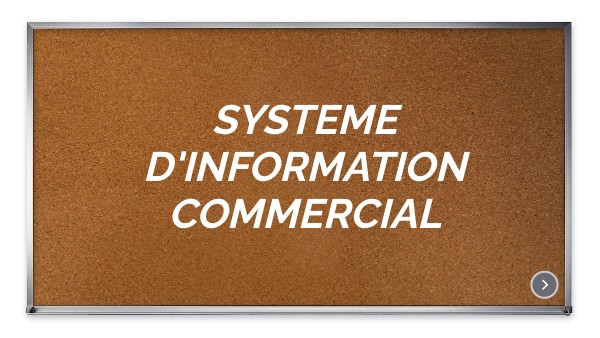 SYSTEME D'INFORMATION COMMERCIAL | Genially