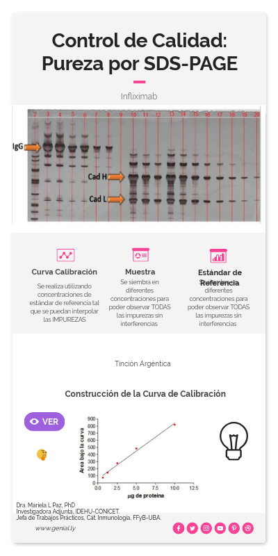 Control Pureza Infliximab | Genially