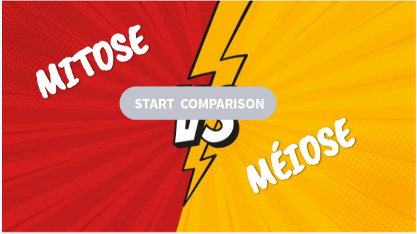 Mitose méiose | Genially