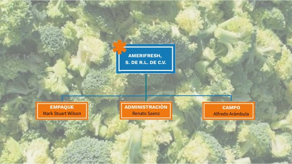 AMERIFRESH S DE RL DE CV
