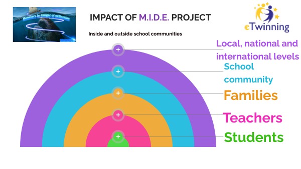 Impact of M.I.D.E. project | Genially