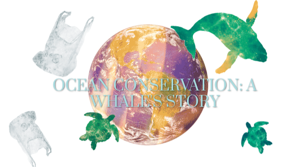 ocean's Pollution | Genially