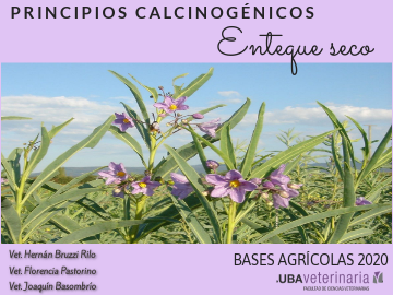 ENTEQUE SECO - BASES AGRICOLAS FVET- UBA | Genially