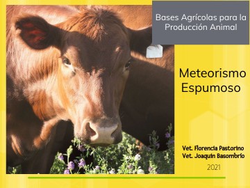 METEORISMO ESPUMOSO 2020 | Genially