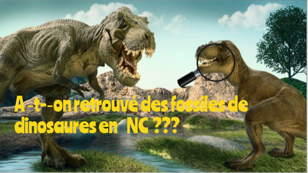 TD12 2nd Evolution biodiversité