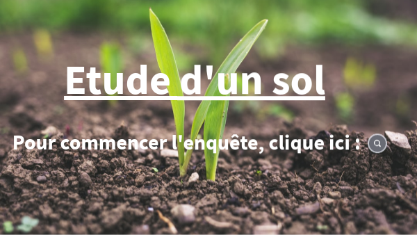 L'étude d'un sol | Genially