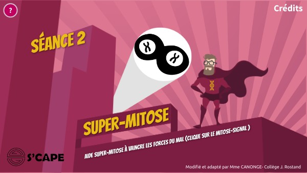 C4_Super Mitose+Méiose