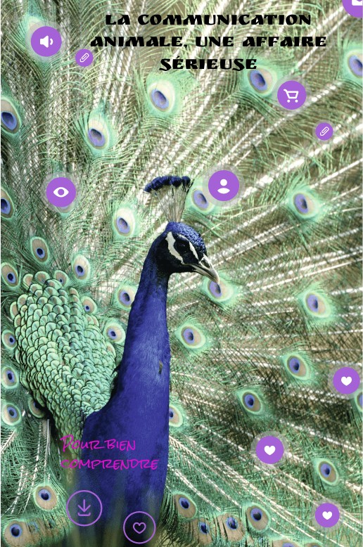 communication animale