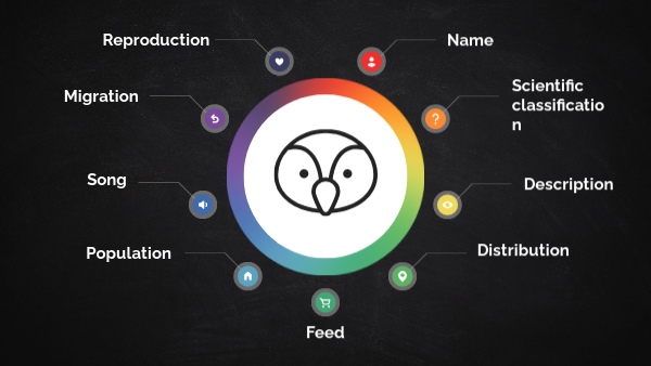 Bird card | Genially