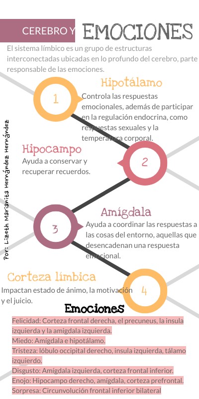 Cerebro y Emociones