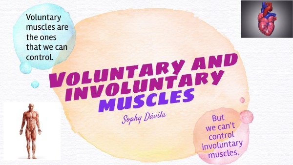 Voluntary and involuntary muscles
