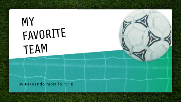 MY FAVORITE TEAM