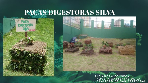 PRESENTACIÓN PACAS DIGESTORAS