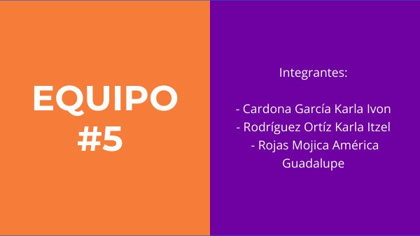 EQUIPO #5